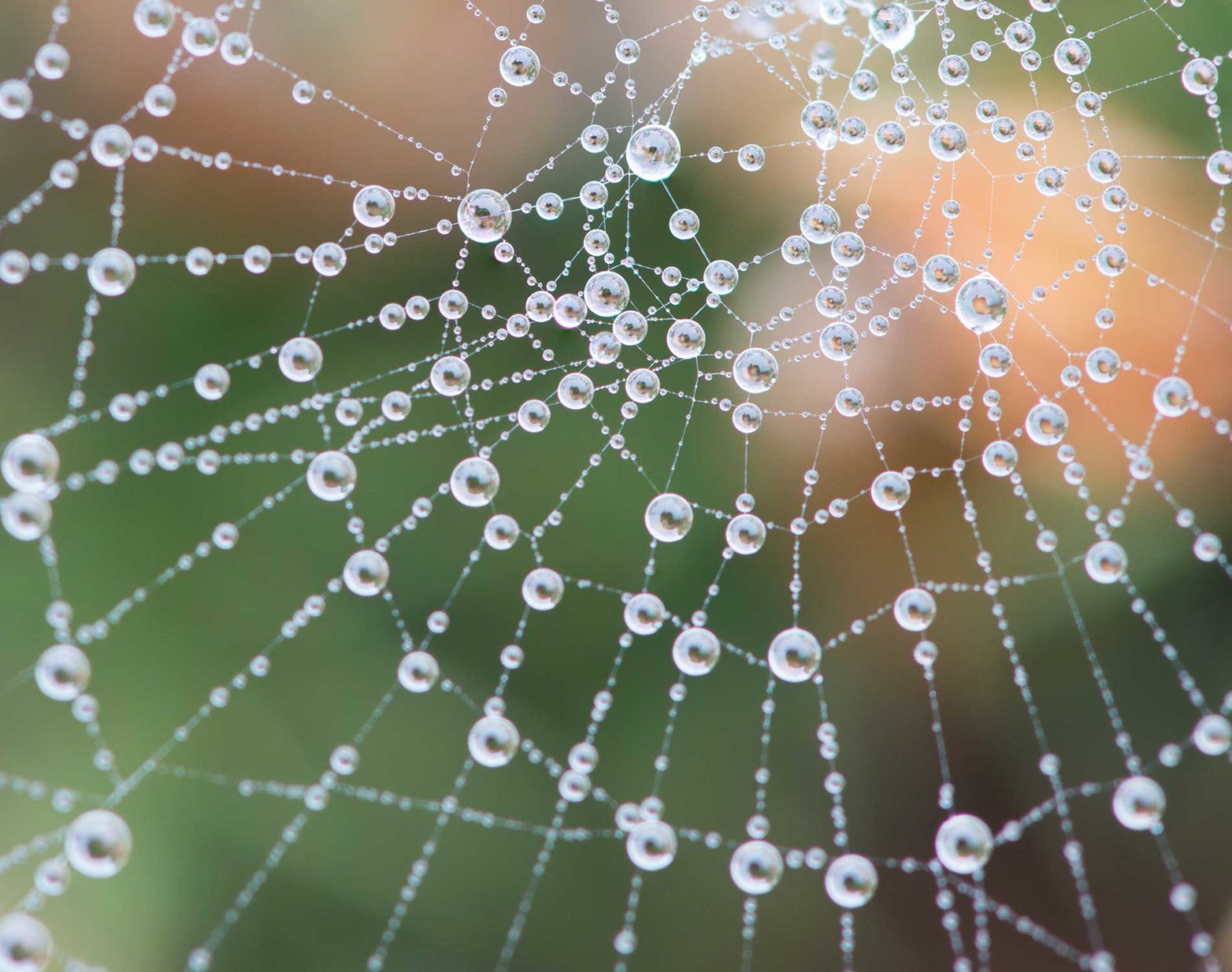 Meta’nın Oyunu: Ya kabul et, ya terk et! - Rekabet ve Regülasyon